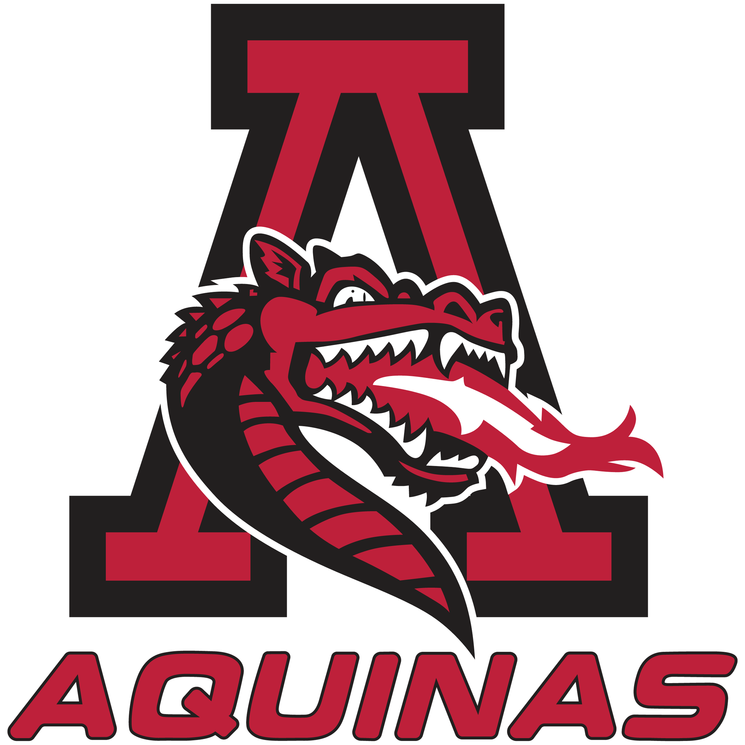 STA Secondary School – 519 Clothing Co.