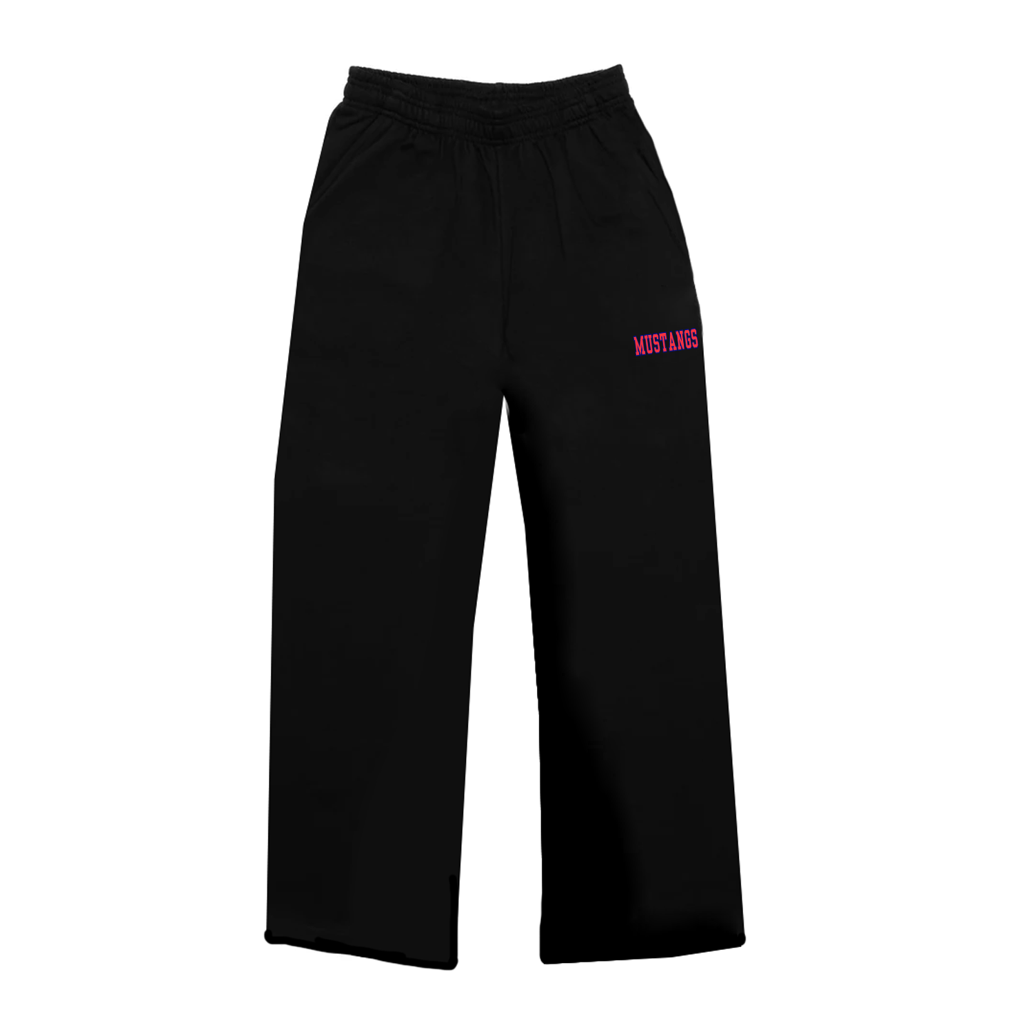 DELAWARE CENTRAL EMBROIDERED WIDE LEG SWEATPANTS (UNISEX) – 519 ...